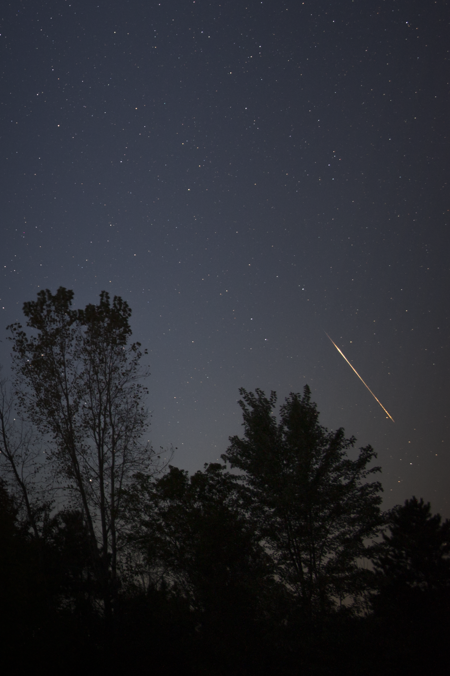 Observation October 8/9 2018 – Draconids outburst from Indiana, U.S.A ...